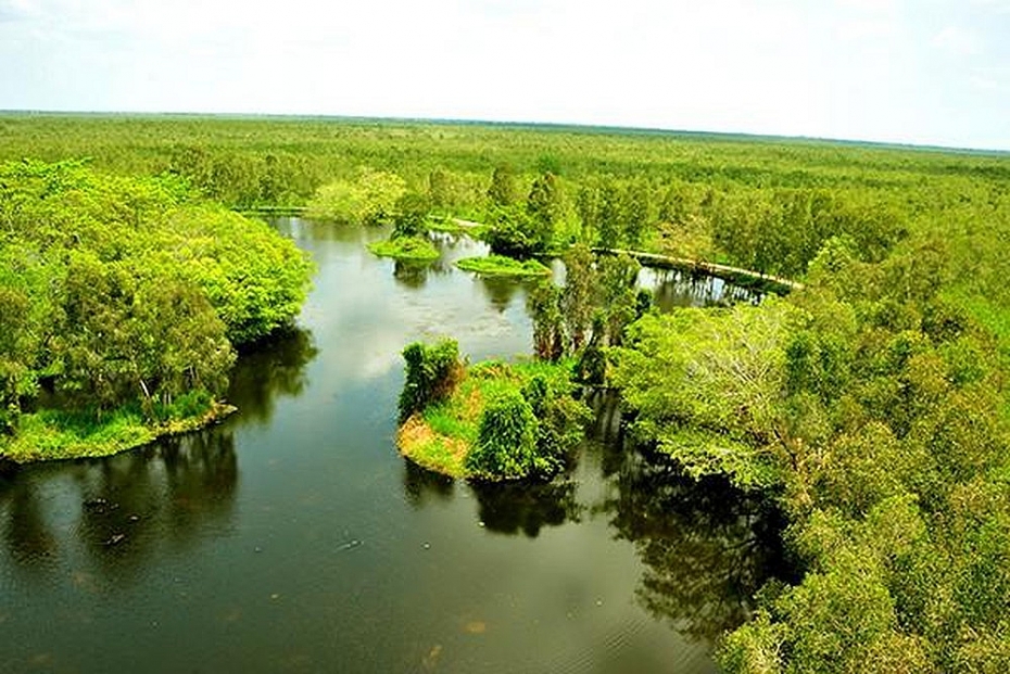 World Environment Day: Vietnam enters a decade of ecosystem restoration