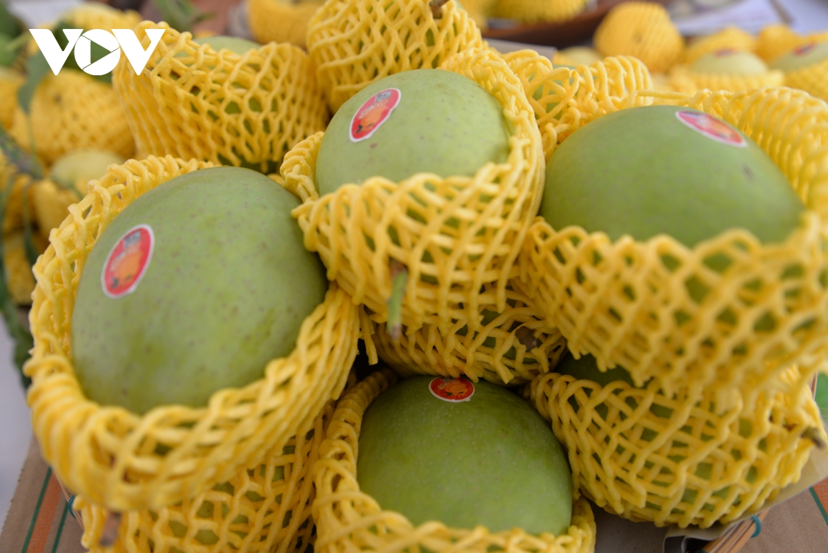 Vietnam boosts its mango export capacity