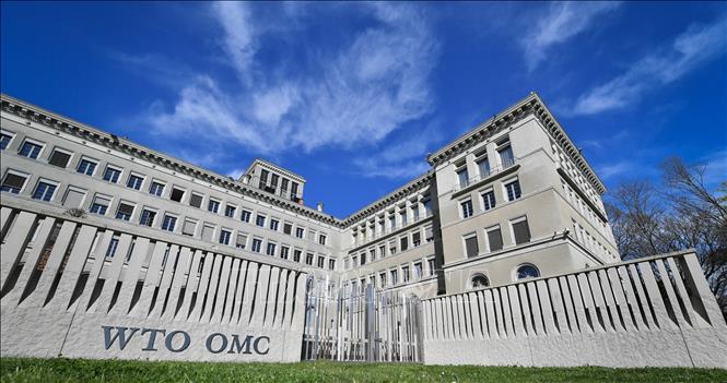OMC se reinventará para adaptarse a la nueva coyuntura